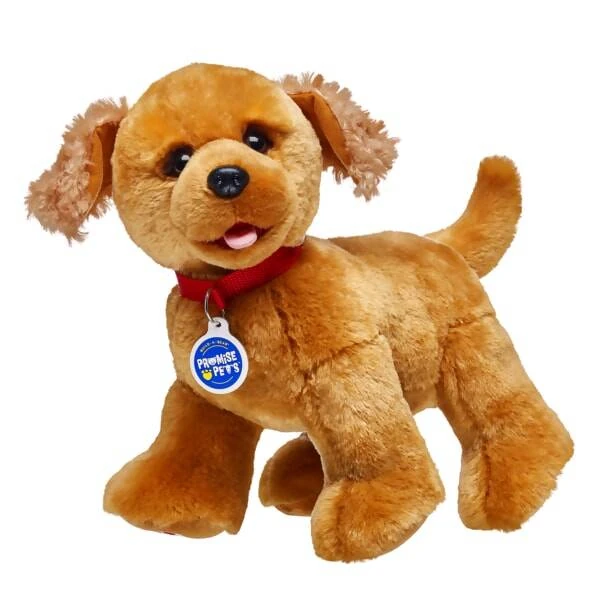 Promise Pets Copper Golden Retriever | Build-a-Bear Workshop Wiki | Fandom