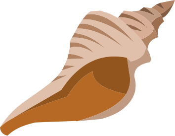 Conch Shell | Build-A-Bear-Ville Wiki | Fandom