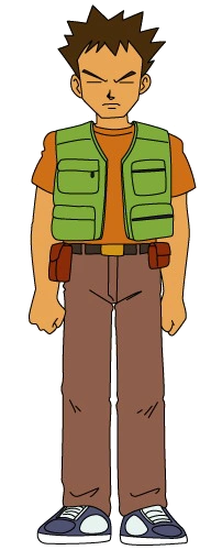 Brock | Bulbapedia pokemon Wiki | Fandom
