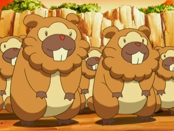 Bidoof (DP023) | Bulbapedia pokemon Wiki | Fandom
