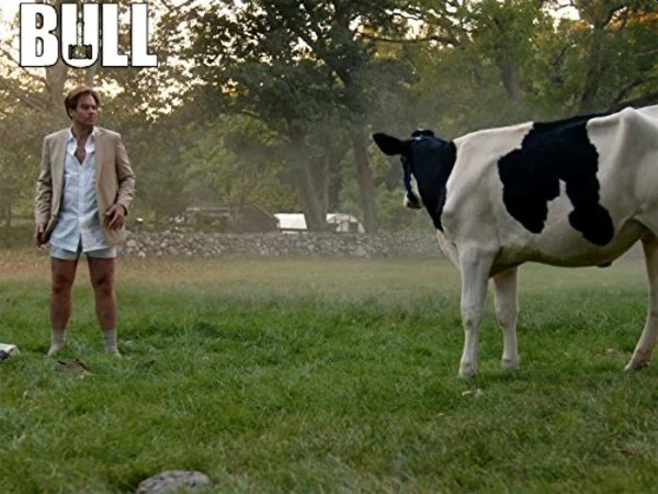 Callisto | Bull Wiki | Fandom