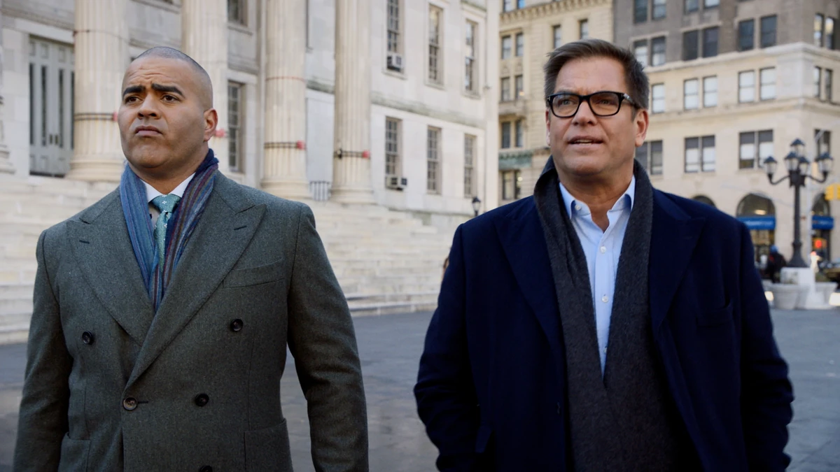 Family Matters | Bull Wiki | Fandom