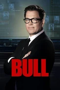 Bull | Bull Wiki | Fandom