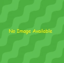 Theme Park World Screens | Bullfrog Productions Wiki | Fandom