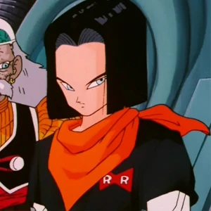 17 | DragonBall Wiki | Fandom