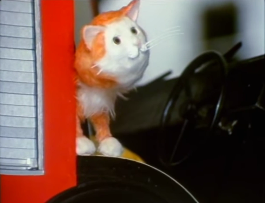 Rosa | Bumper Films Wiki | Fandom