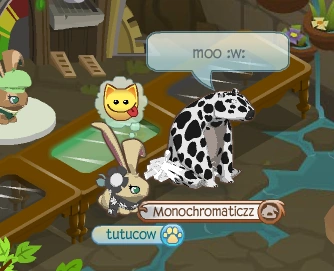 Lilly S | Bunchat Wiki | Fandom