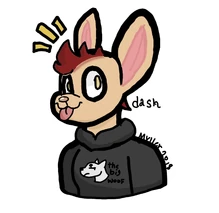 Dash | Bunchat Wiki | Fandom