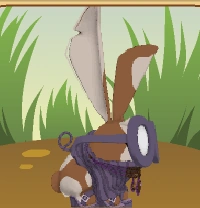 Ginger | Bunchat Wiki | Fandom