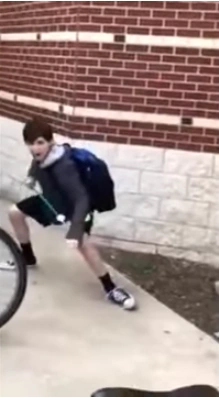 Vines that keep us alive | Bunchat Wiki | Fandom