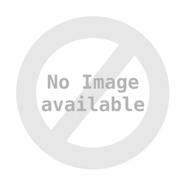 Order of the Clock Tower | Bungo Stray Dogs Wiki | Fandom