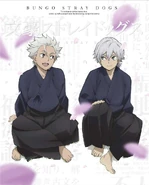 Bungo Stray Dogs Season 5 | Bungo Stray Dogs Wiki | Fandom