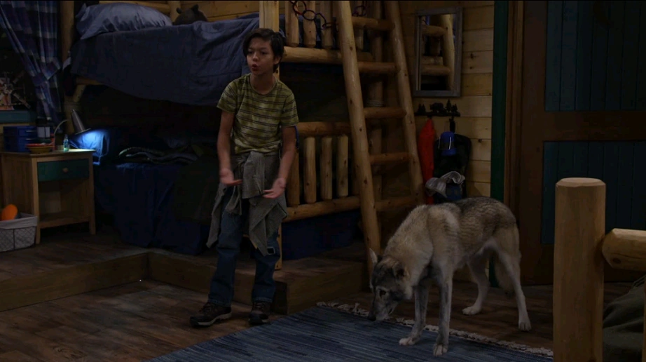 Lone Wolf | Bunk'd Wiki | Fandom