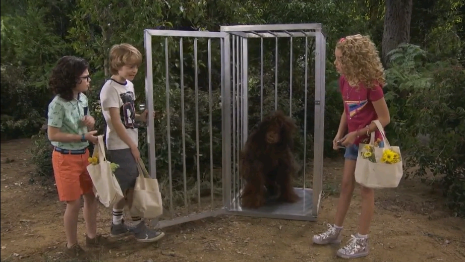 Up, Up and Away/Gallery | Bunk'd Wiki | Fandom