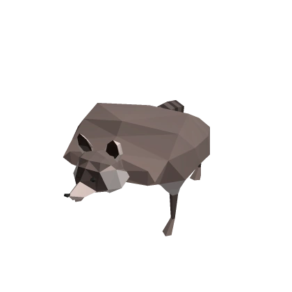 Wide Raccoon | Bunker.jpeg Wiki | Fandom