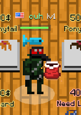 Santa Bag | Bunk Town Wiki | Fandom