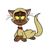 Chester/Gallery | Bunnicula Wikia | Fandom