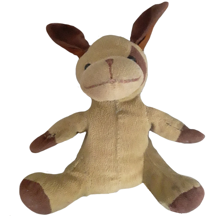 Buddy | Bunnipedia Wiki | Fandom