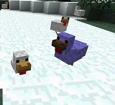 Diamond Chicken | Bunsrocket Wiki | Fandom