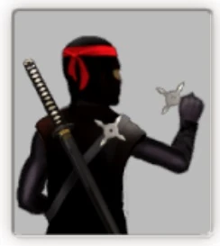 Ninja | Burger shop Wiki | Fandom