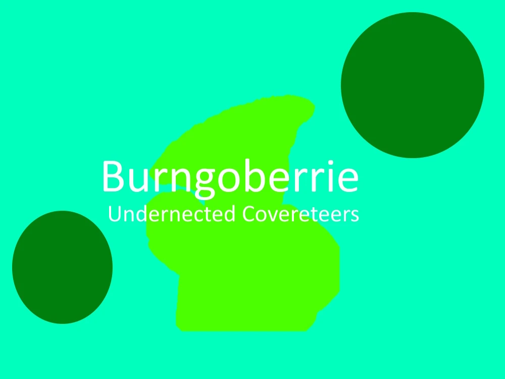 Undernected Covereteers | Burngoberrie Wiki | Fandom