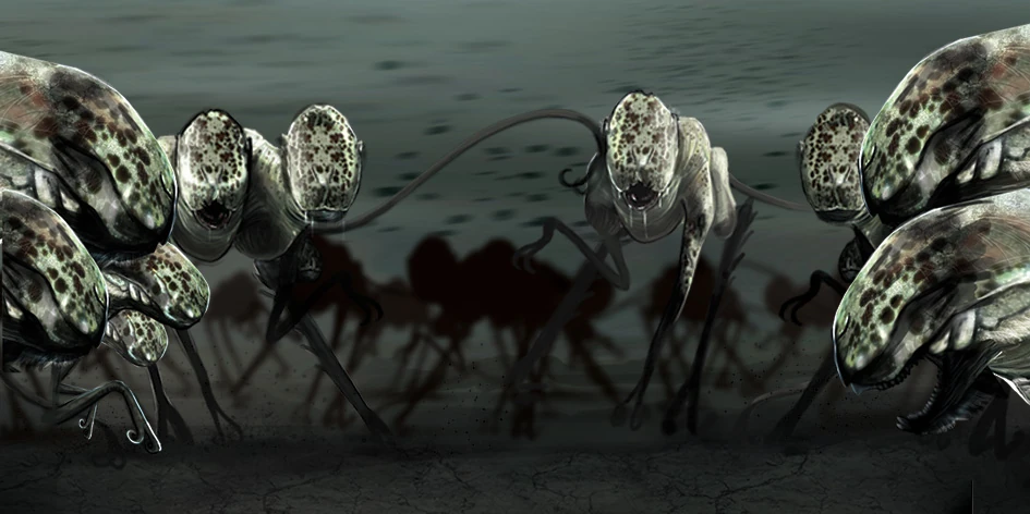 Insectoid race | Burning Suns Wikia | Fandom