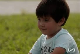 Charlie Westen | Burn Wiki | Fandom