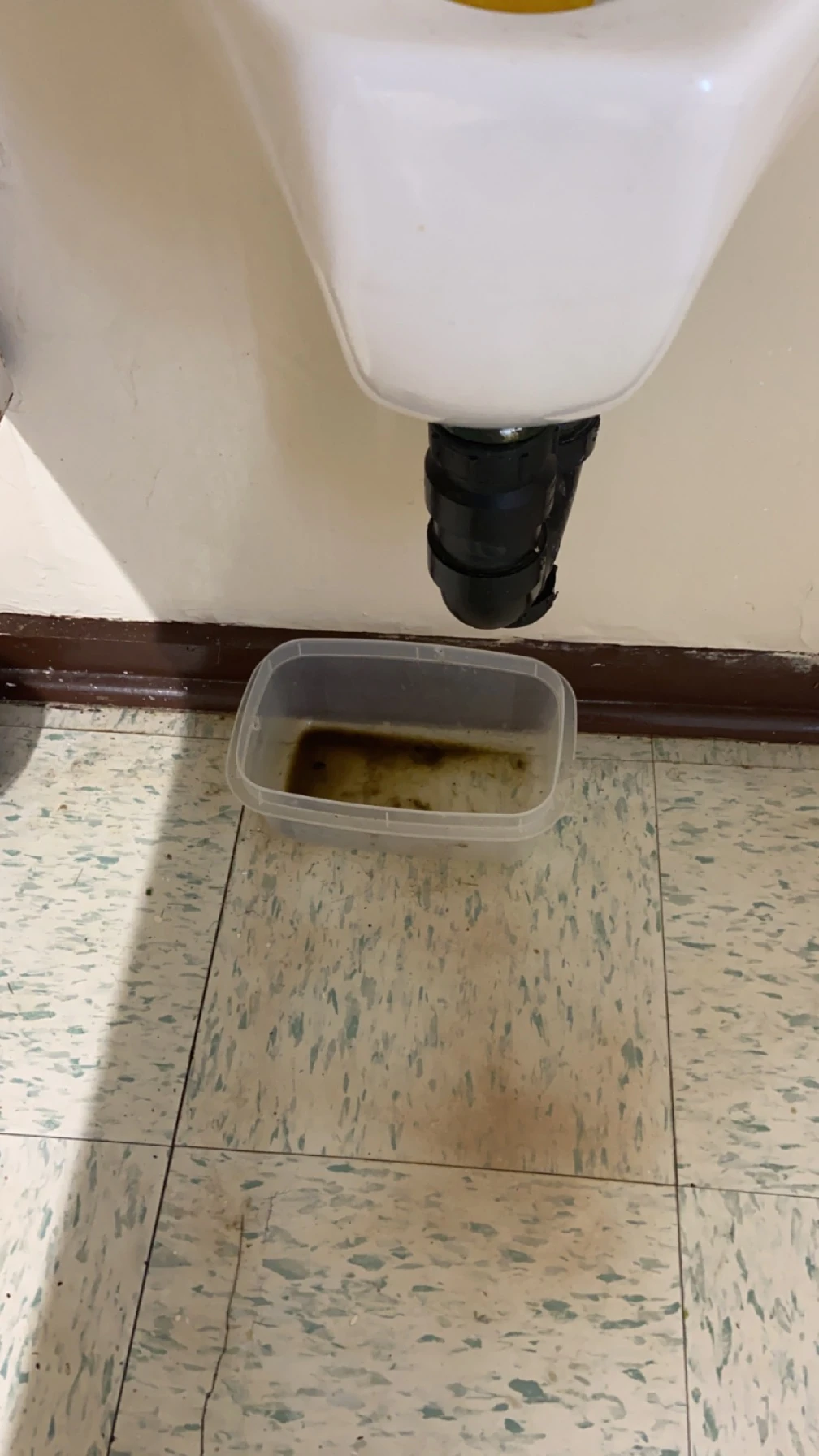 Urinal Tupperware | Burry Heights Wiki | Fandom