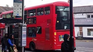 London Buses route 81 | Bus Routes in London Wiki | Fandom