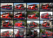 Metroline | Bus Routes in London Wiki | Fandom