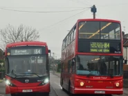 London Buses route 184 (1996-present) | Bus Routes in London Wiki | Fandom