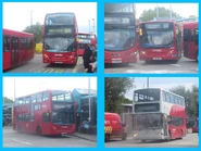 Edgware Bus Station | Bus Routes in London Wiki | Fandom