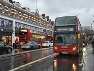London Buses route 250 | Bus Routes in London Wiki | Fandom