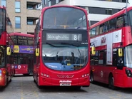 London Buses route 81 | Bus Routes in London Wiki | Fandom