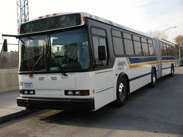 The Bee-line System | Bus Wiki | Fandom