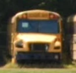 Bus 356 | Buses of Davidson County, NC Wiki | Fandom