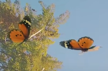 One-Time Characters | Buttered Side Down Wiki | Fandom