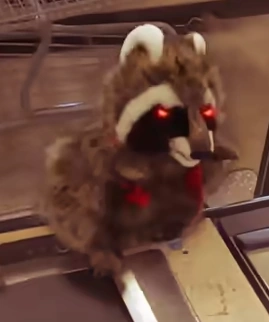 Raccoon | Buttered Side Down Wiki | Fandom