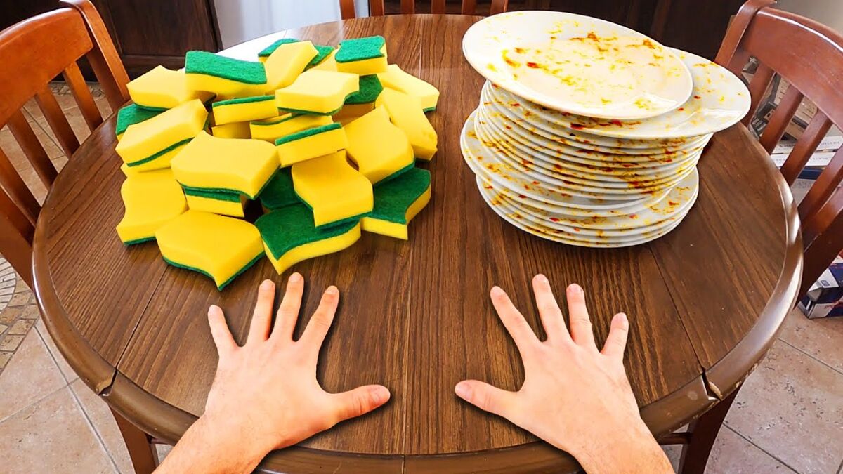 Sponge | Buttered Side Down Wiki | Fandom