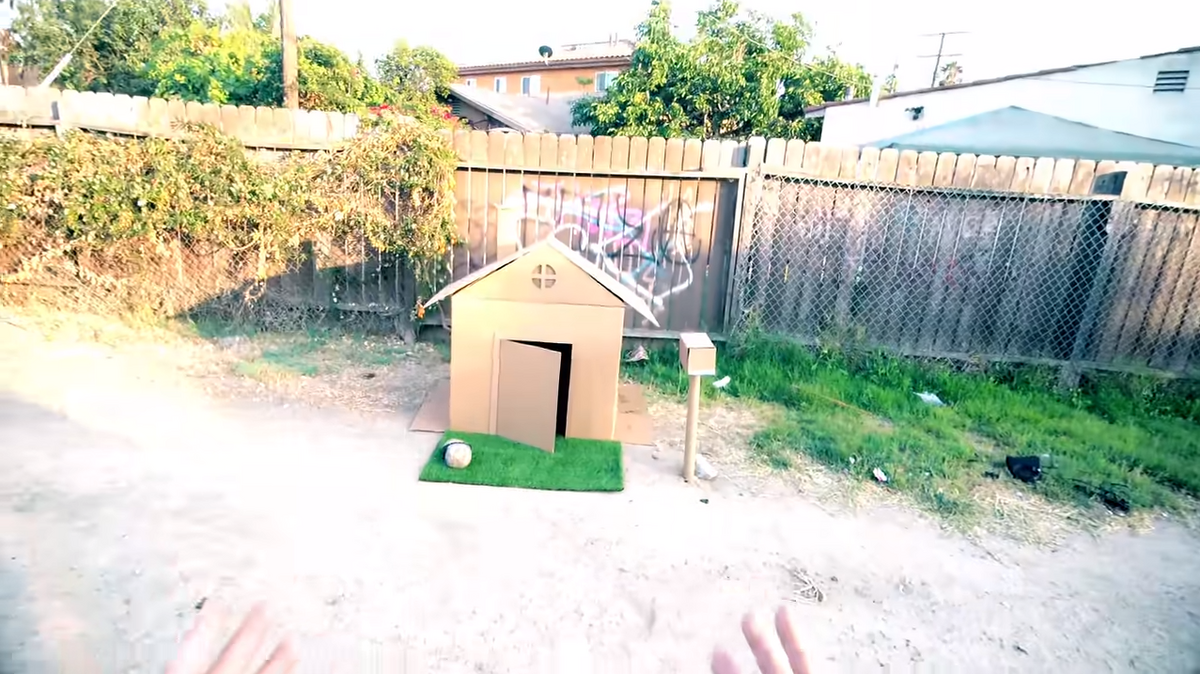 Cardboard House | Buttered Side Down Wiki | Fandom