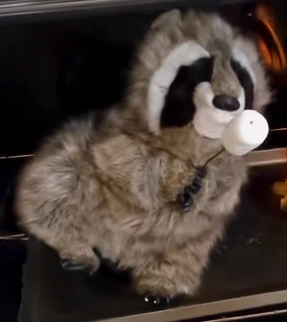 Raccoon | Buttered Side Down Wiki | Fandom