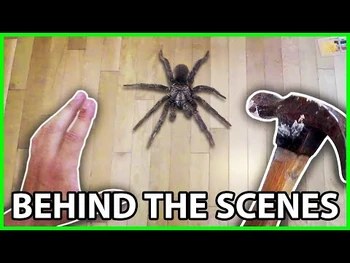 Killing a Spider | Buttered Side Down Wiki | Fandom