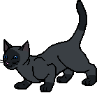 Cinderpaw | Butter's Dumb Warrior Cat Wiki | Fandom
