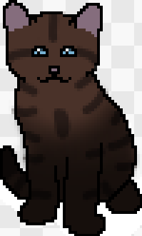 Larchkit | Butter's Dumb Warrior Cat Wiki | Fandom