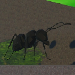 normal ant | Button Simulator:ED Wiki | Fandom