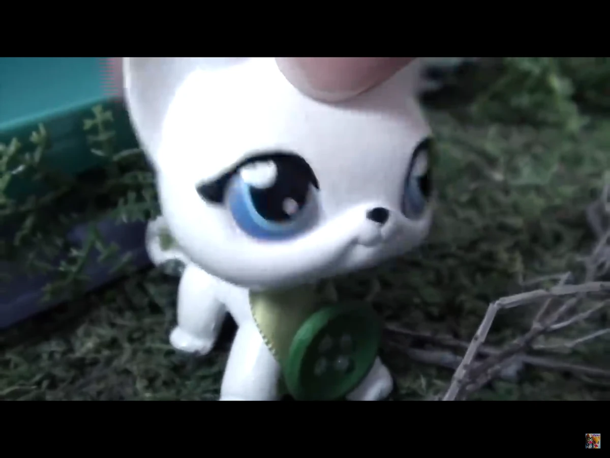 Present | Buttons Wiki | Fandom