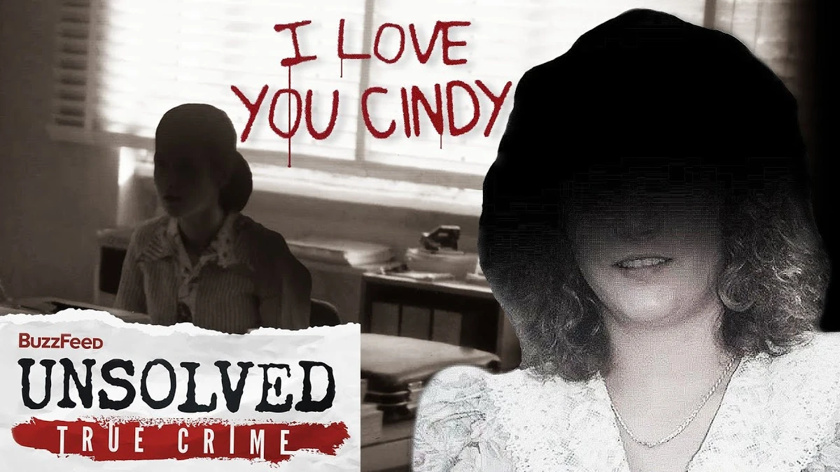 The Sudden Disappearance Of Cynthia Anderson | BuzzFeed Unsolved Wiki ...