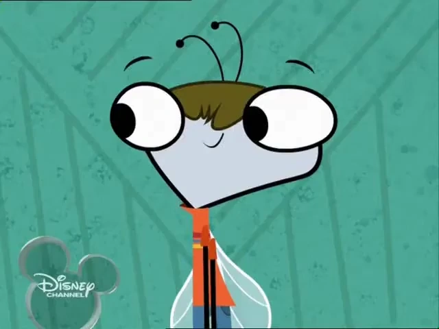 Lucas | The Buzz on Maggie Wiki | Fandom