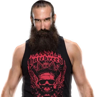 Luke Harper | BWWE Wiki | Fandom