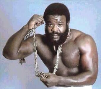 Junkyard Dog | BWWE Wiki | Fandom